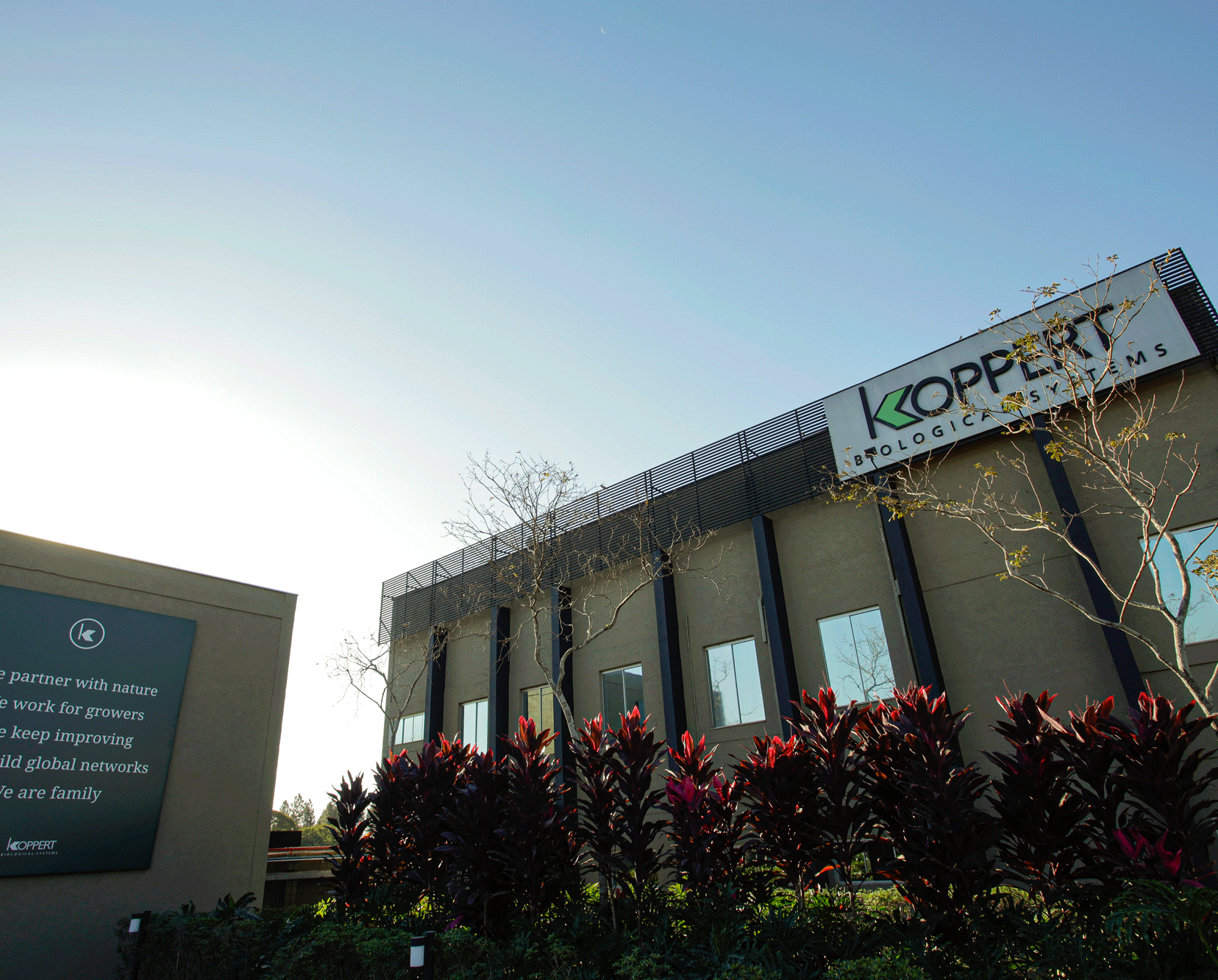 Koppert do Brasil | Koppert Brasil