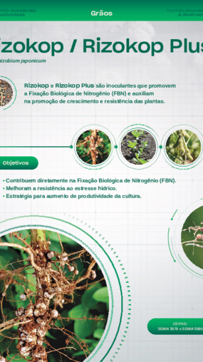 Lâmina Rizokop Grãos | Koppert Brasil
