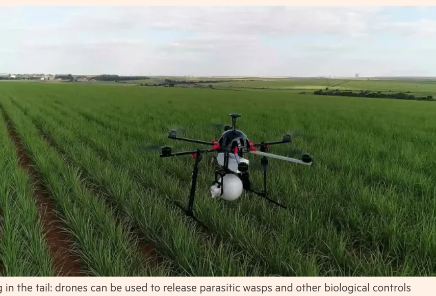 Koppert é destaque na imprensa nacional e internacional | Koppert Brasil