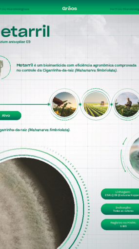 Lâmina Metarril Grãos | Koppert Brasil