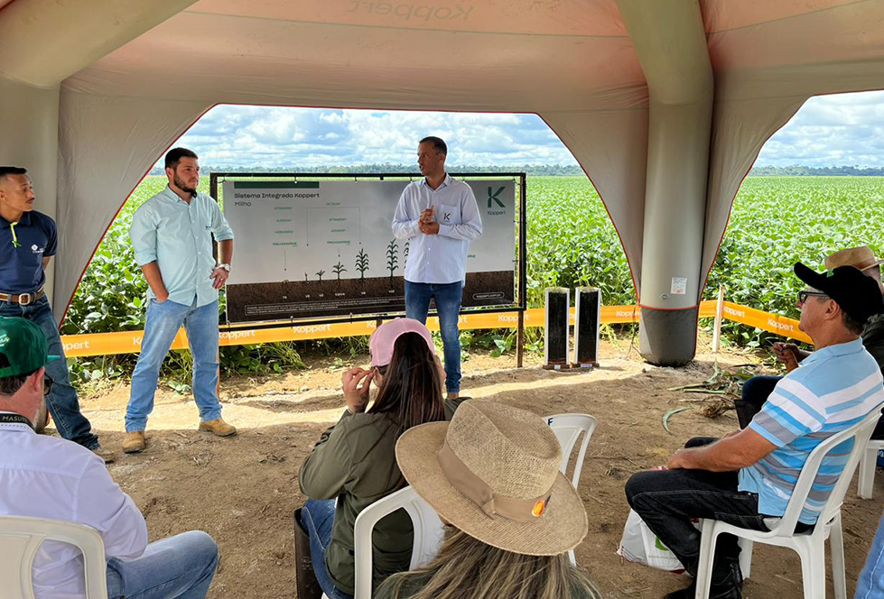 Parceria no campo | Koppert Brasil