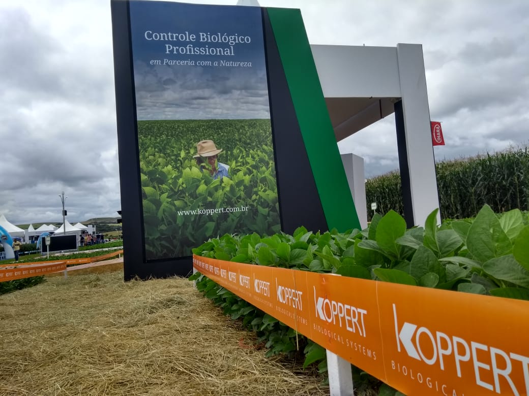 Copercampos 2019 | Koppert Brasil